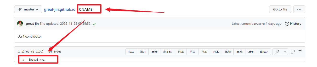 GitHub 域名绑定教程 | 布袋青年